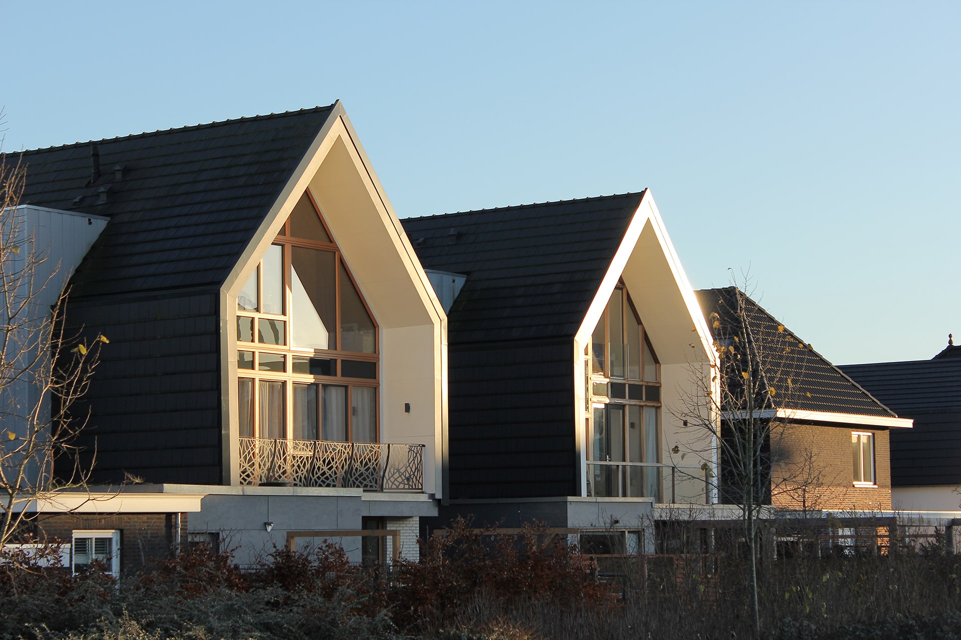 Introducing hi tech-oriented designs – Deluxe Veneers